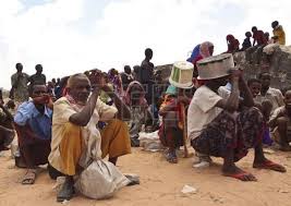 UN warns 345 million people face starvation worldwide | Cuba Si